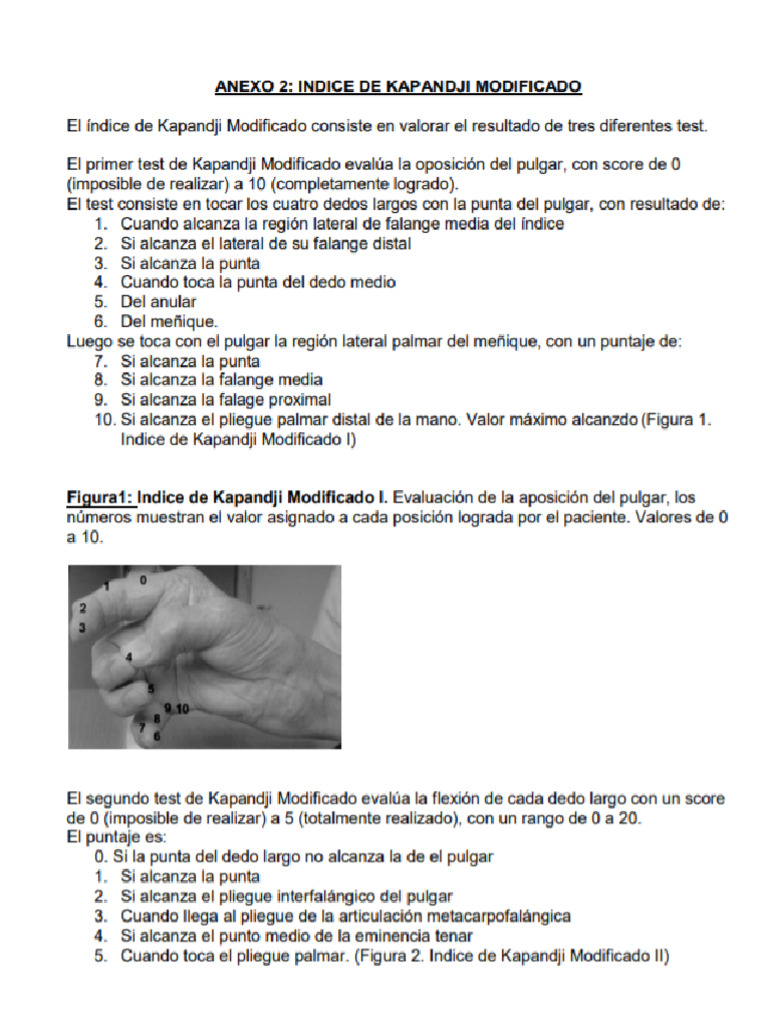 Test de Kapandji Modificado | PDF