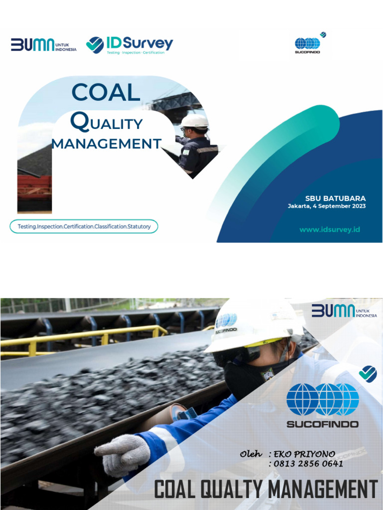 Coal Quality Management | PDF