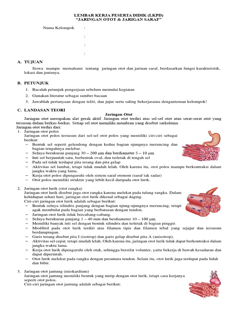 LKPD Jaringan Otot & Saraff | PDF