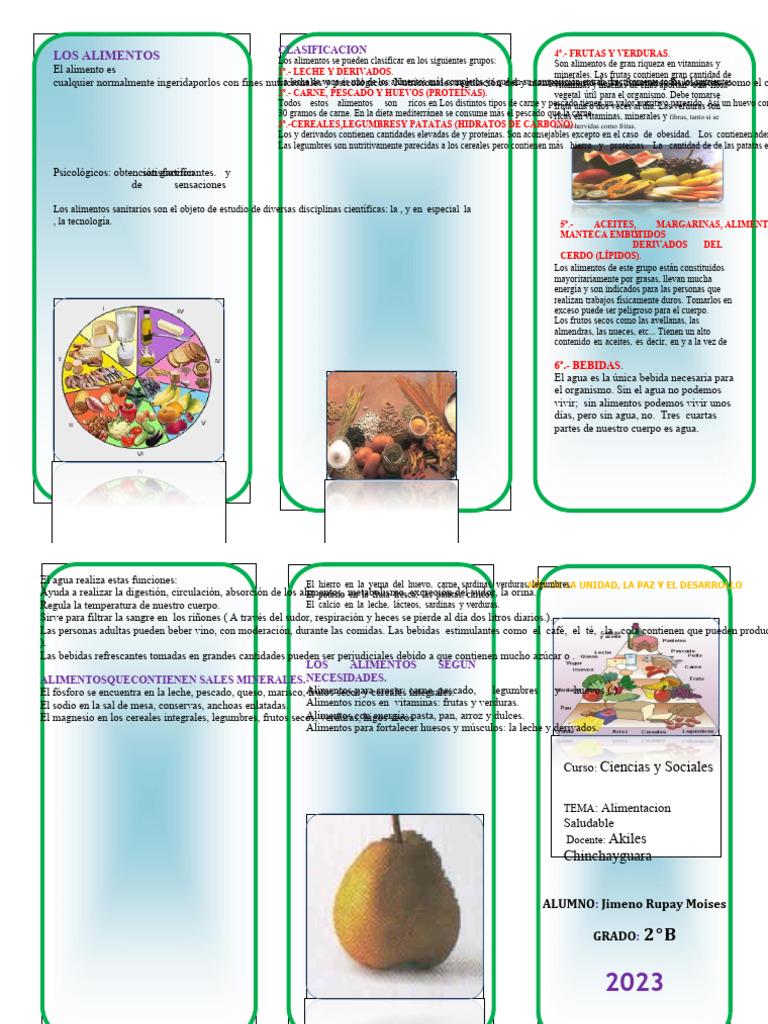 Triptico Alimentos | PDF | Alimentos | Carne