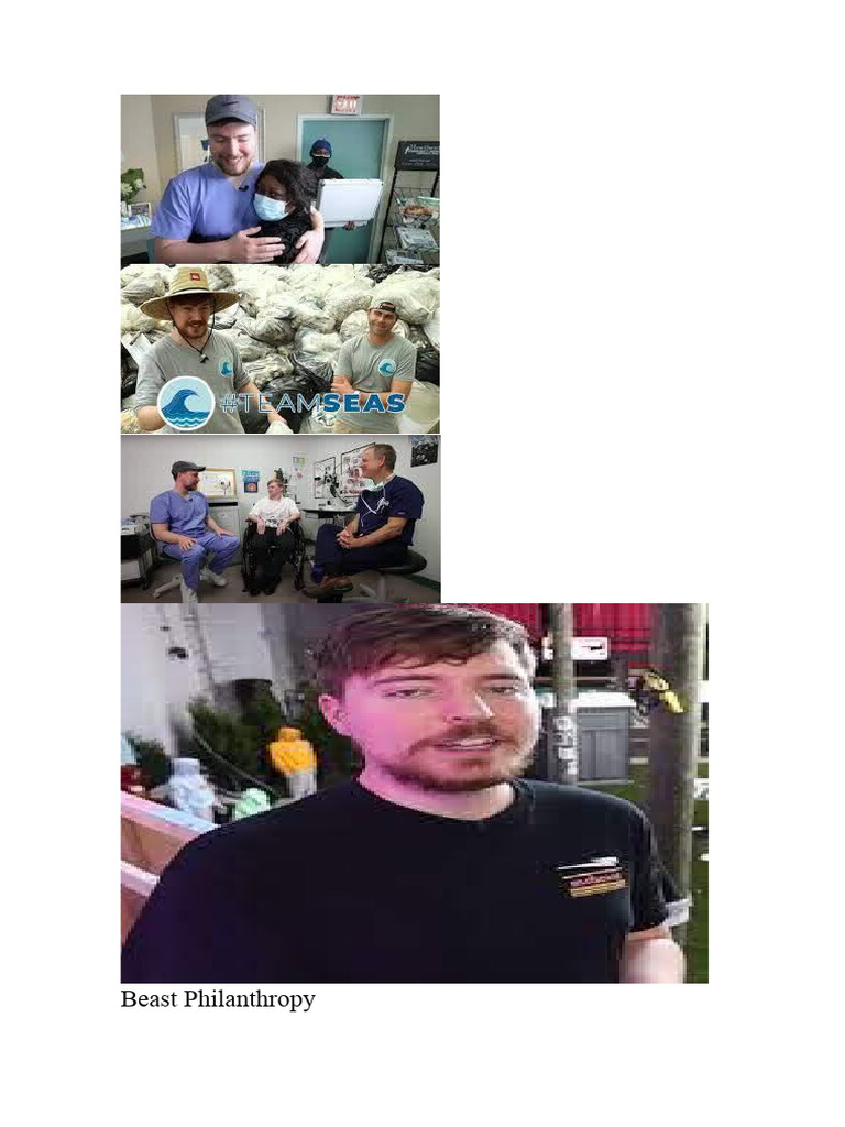 Beast Philanthropy | PDF