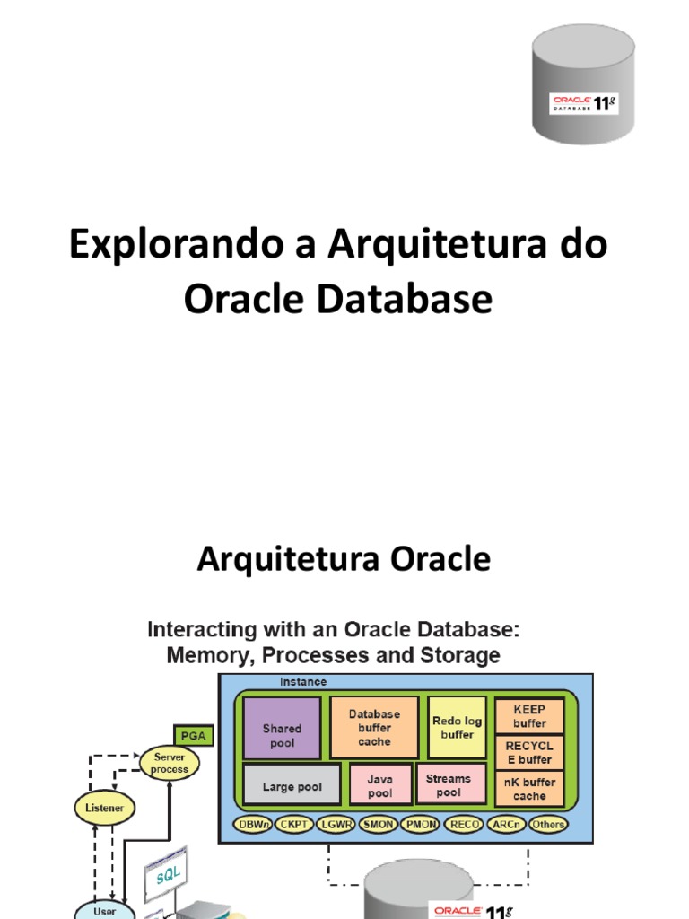 Arquitetura Oracle | PDF | Bancos de dados | Dados