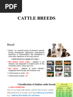 Indian Livestock and Poultry Breeds | PDF | Horses | Sheep