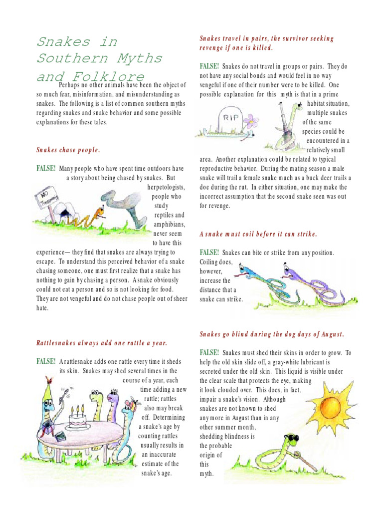 Snake Myths | PDF | Snake | Rattlesnake