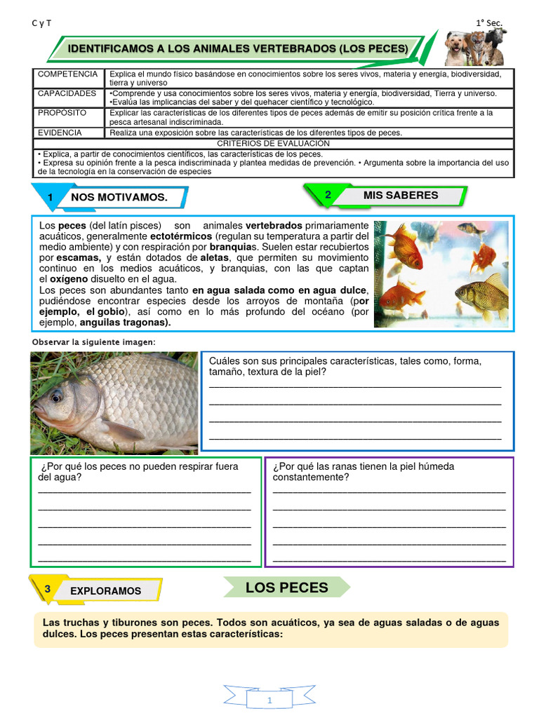 Act 5 Cyt Unid 3 - Sem 4 | PDF | Pescado | Branquia