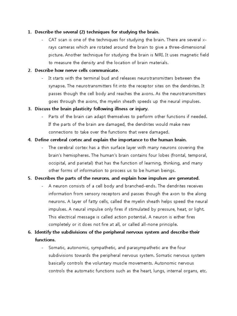 Chapter 2 Neuroscience and Behavior | PDF | Neuron | Brain