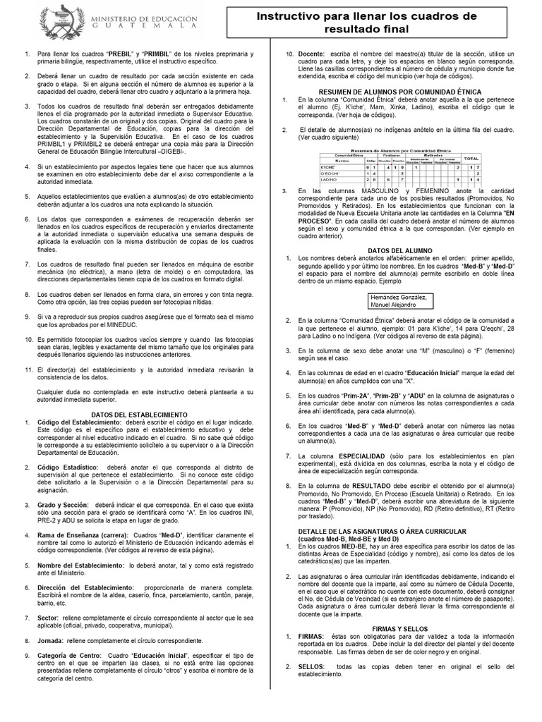 Instructivo Cuadros de Resultado Final Monolingüe | PDF