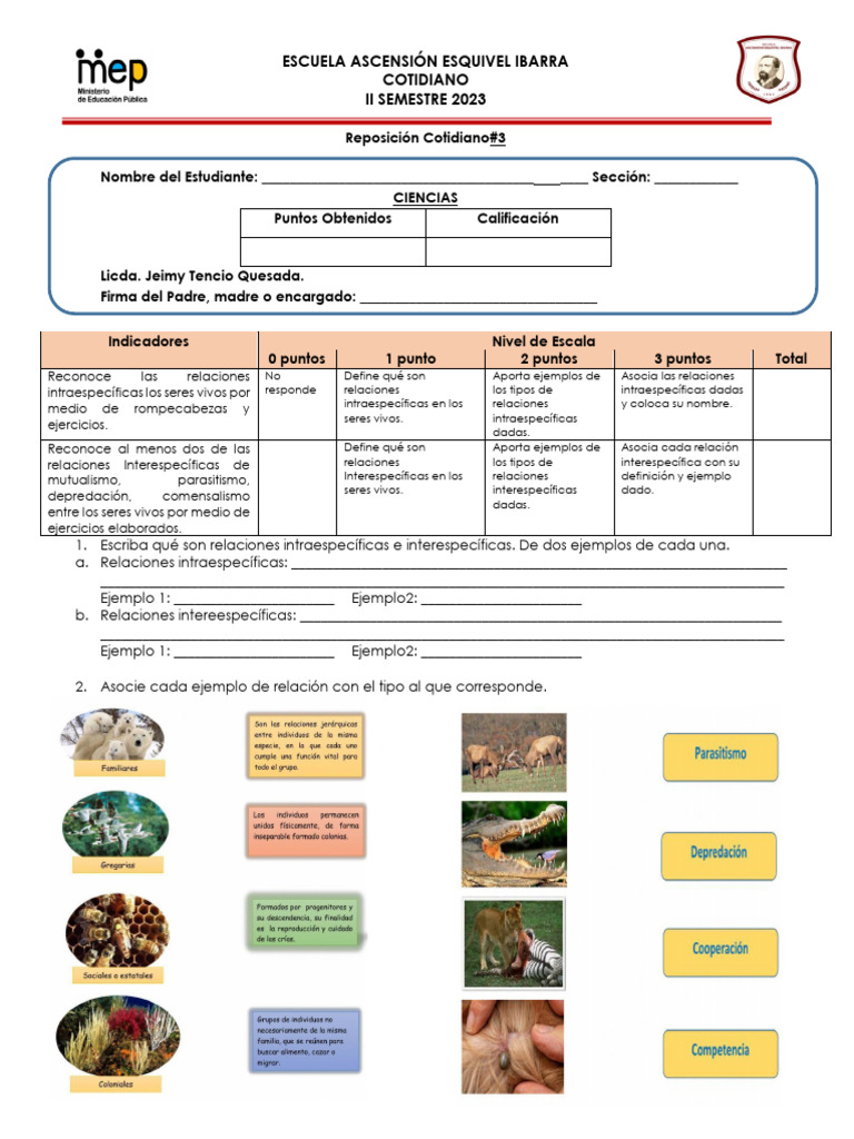 Cotidiano Reposición. Estudiantes Con Notas Bajas 3 | Descargar gratis ...