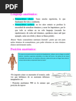 Términos de Lateralidad en Anatomía | PDF | Términos anatómicos de ...