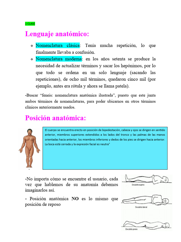 Anatomía | PDF | Articulación | Términos anatómicos de ubicación