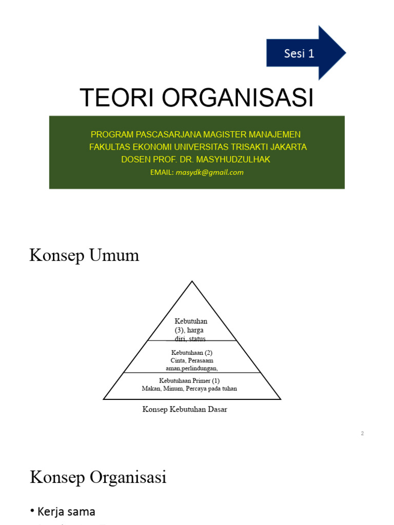 Teori Organisasi | PDF