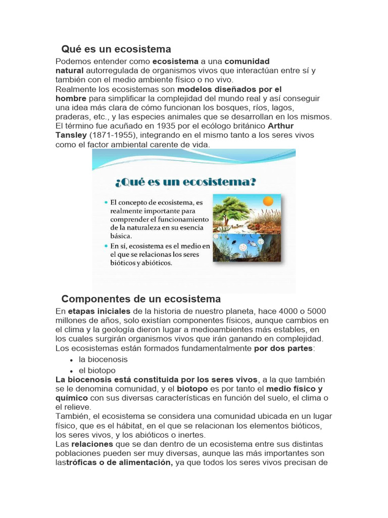 Qué Es Un Ecosistema | PDF | Ecosistema | Suelo