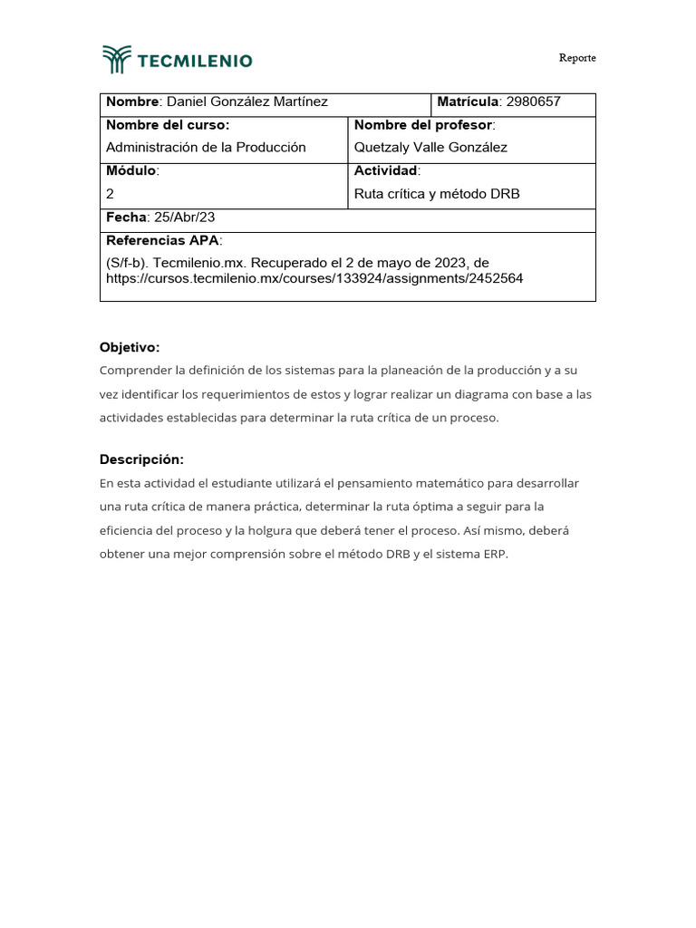 Actividad 2 | PDF | Planificación de recursos empresariales | Informática