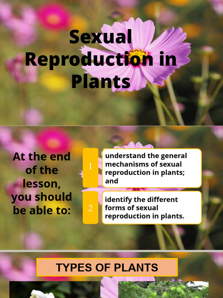 Earth and Life Science SHS 17.2 Sexual Reproduction in Plants | PDF ...