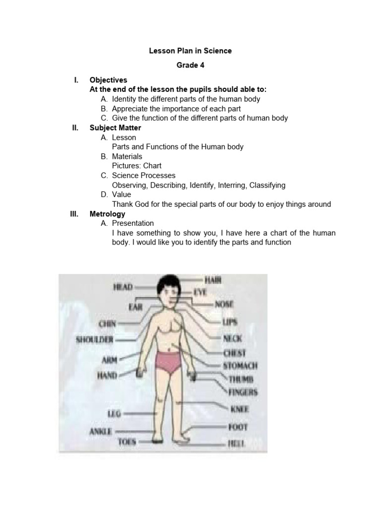 Balibas, A and Balinas, J (Parts and Functions of Human Being and Human ...