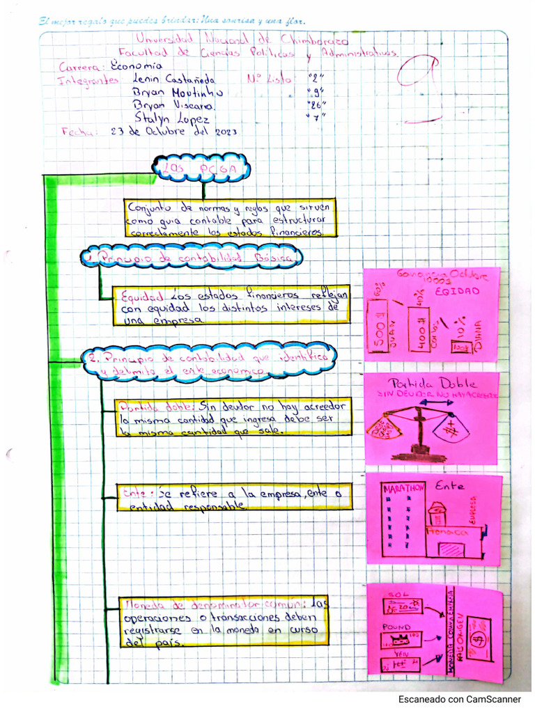 Mapa Conceptual Los Pcga | PDF