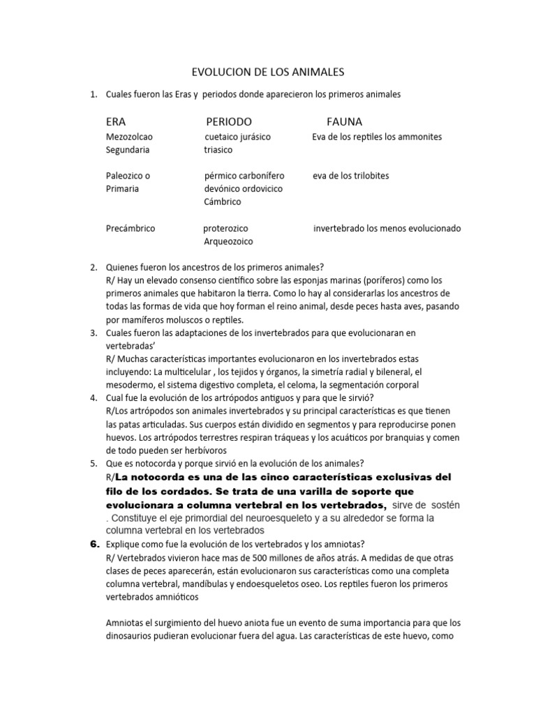 Evolución Animal: Eras y Ancestros | PDF | Vertebrados | Taxa