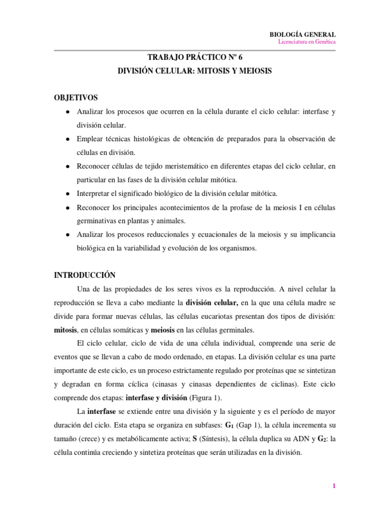 TP N°6 - División Celular - 2023 | PDF | Mitosis | Mitosis
