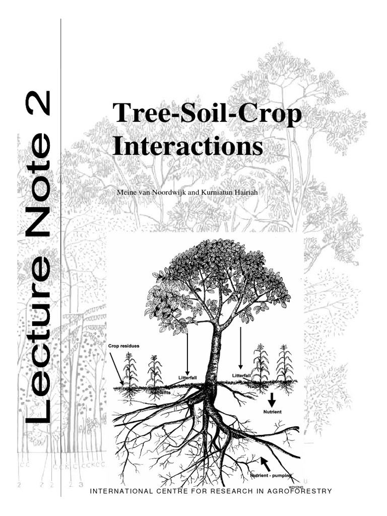 Tree Soil Crop Interactions ICRAF | PDF | Soil | Root