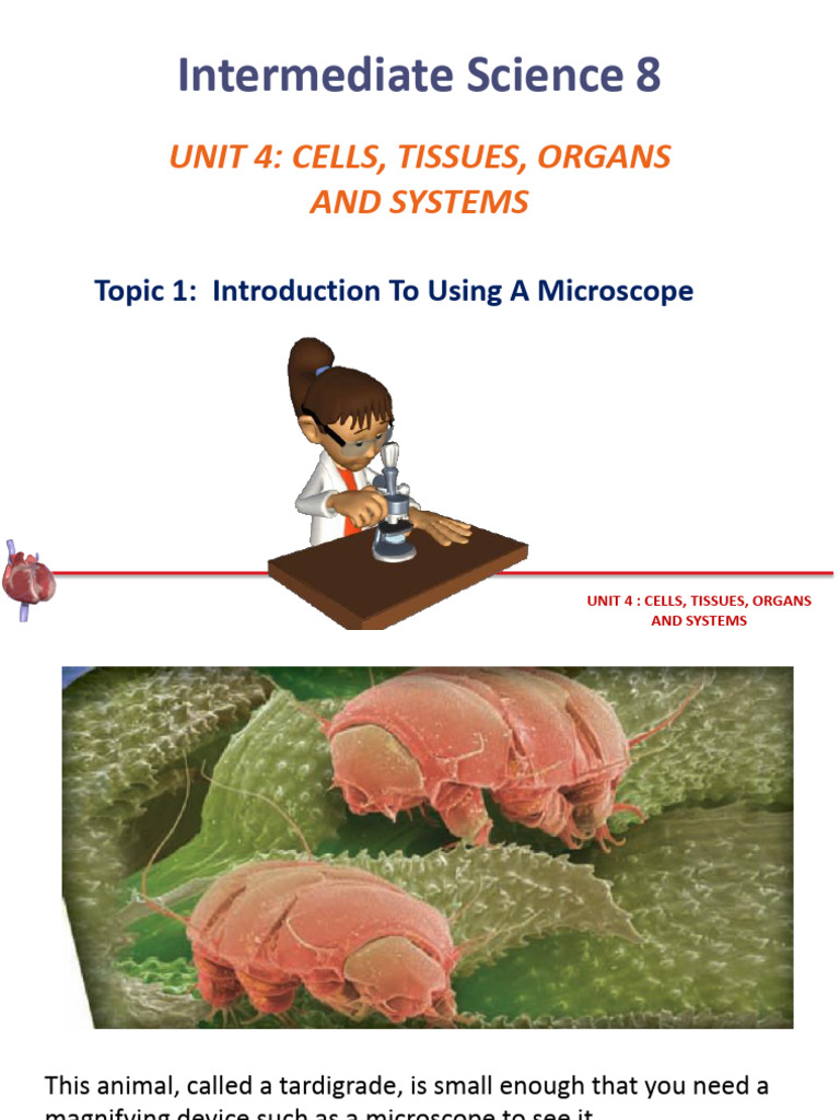 Scienece 8 Cells Tissues Organs and Systems May 30 2017 | PDF | Human ...