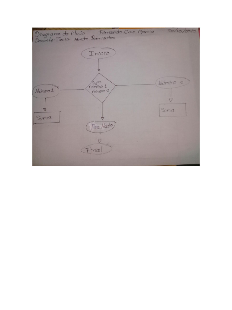 Q1C CGF Diagrama de Flujo (Evidencia) | PDF