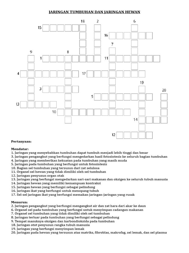 TTS Jaringan Tumbuhan Dan Jaringan Hewan | PDF