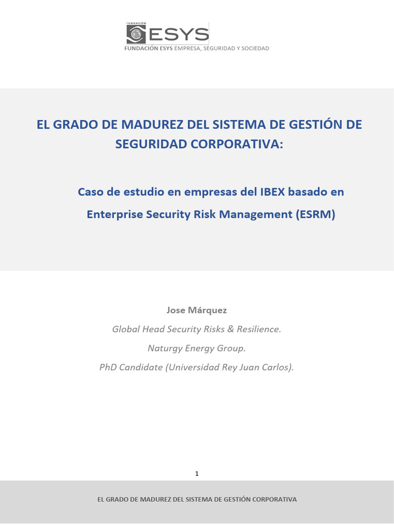 Estudio ESRM ESYS | PDF | Business
