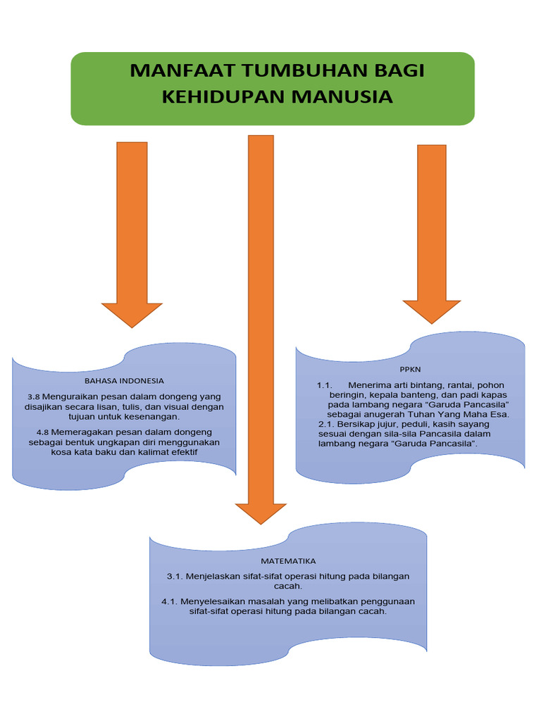 Jaring-Jaring Kelas 3 Tema 2 Subtema 1 | PDF