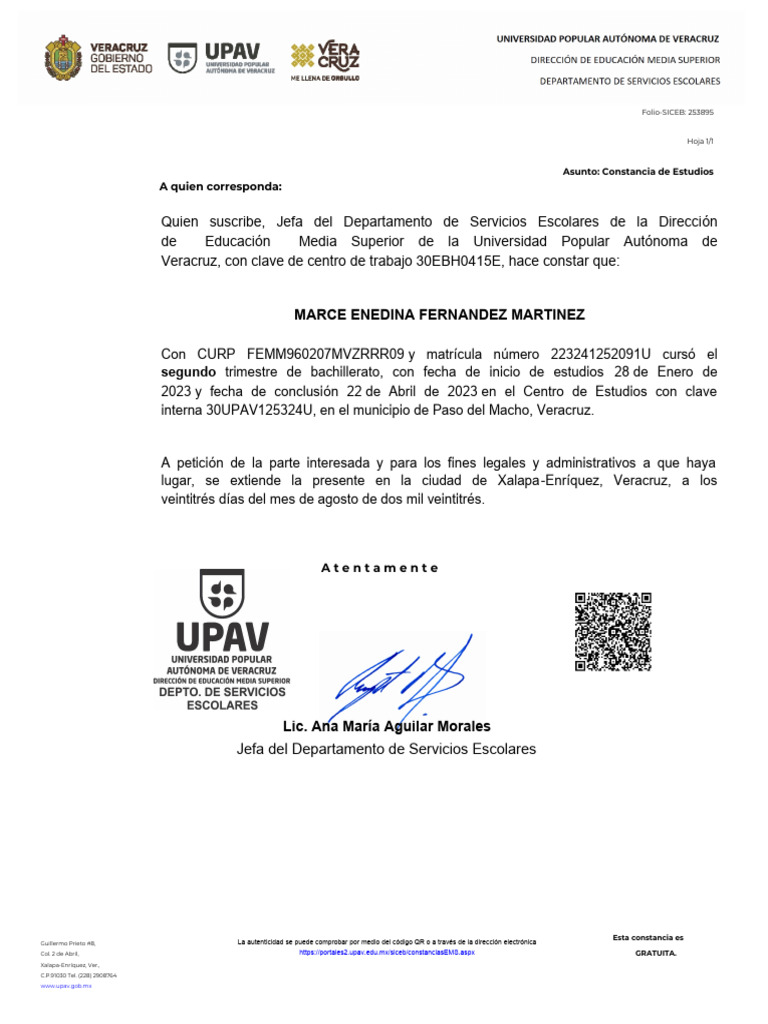 Reporte Constancia | PDF