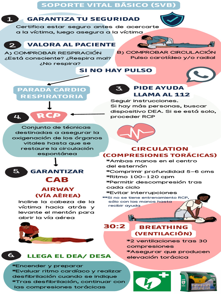 Infografía RCP | PDF