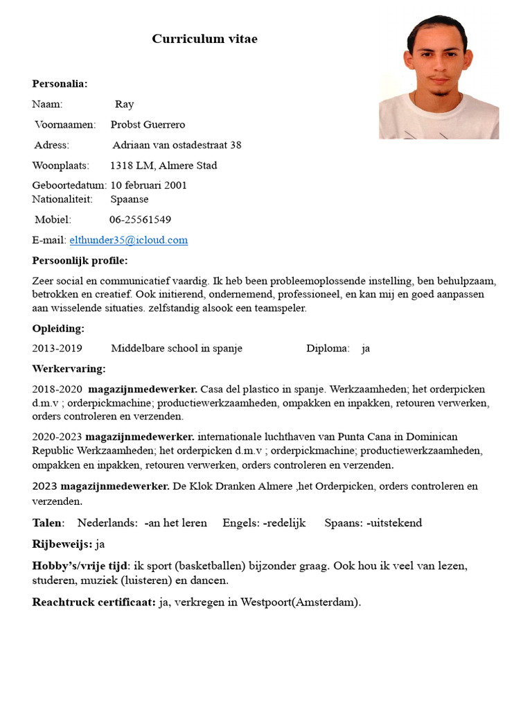 Curriculum Vitae NL 2 | PDF