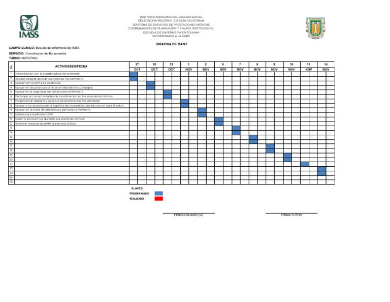 GRAFICAS DE GANT - GRAFICA DE GANT 12 DIAS | PDF | Enfermería | Ciencias de la Salud