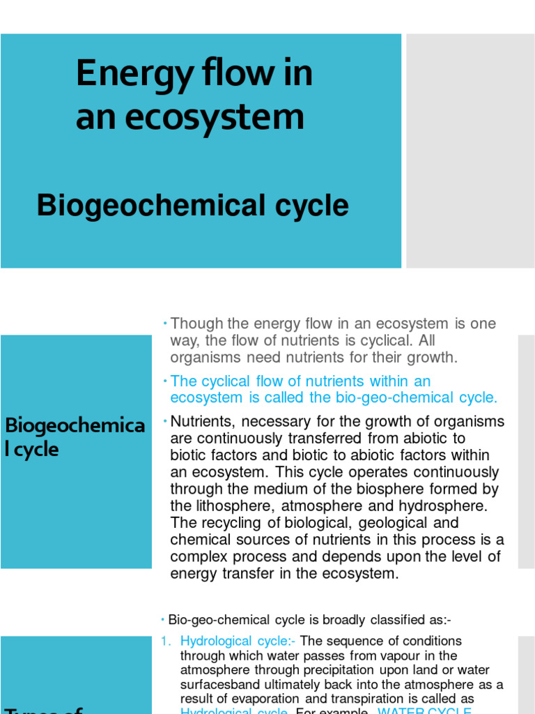 Bio-Geo-Chemical Cycle | PDF | Carbon Cycle | Ecosystem