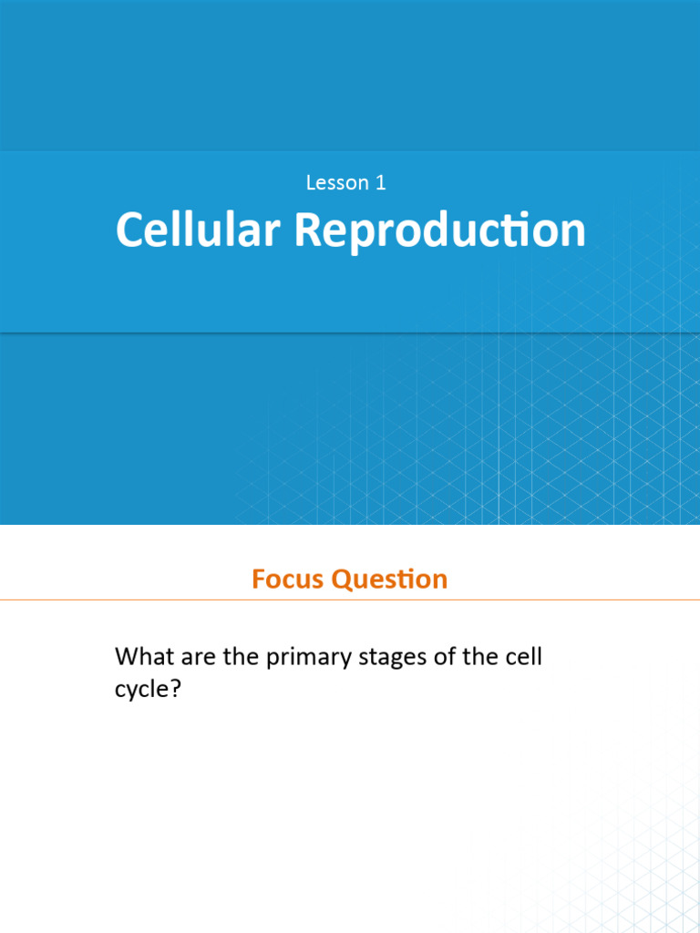 Week 2 - Cellular Reproduction | PDF | Mitosis | Cell Cycle