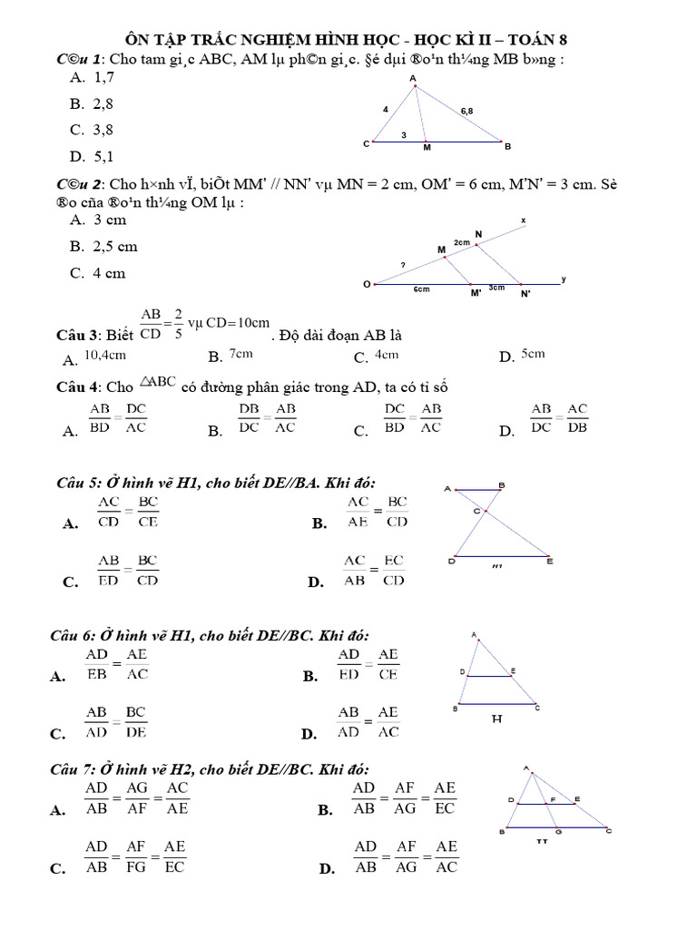 BT Trac Nghiem Hkii | PDF