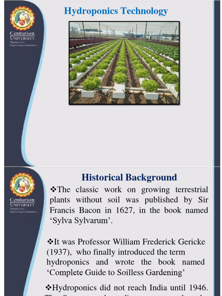 Hydroponics Lecture Notes | PDF | Hydroponics | Plant Nutrition