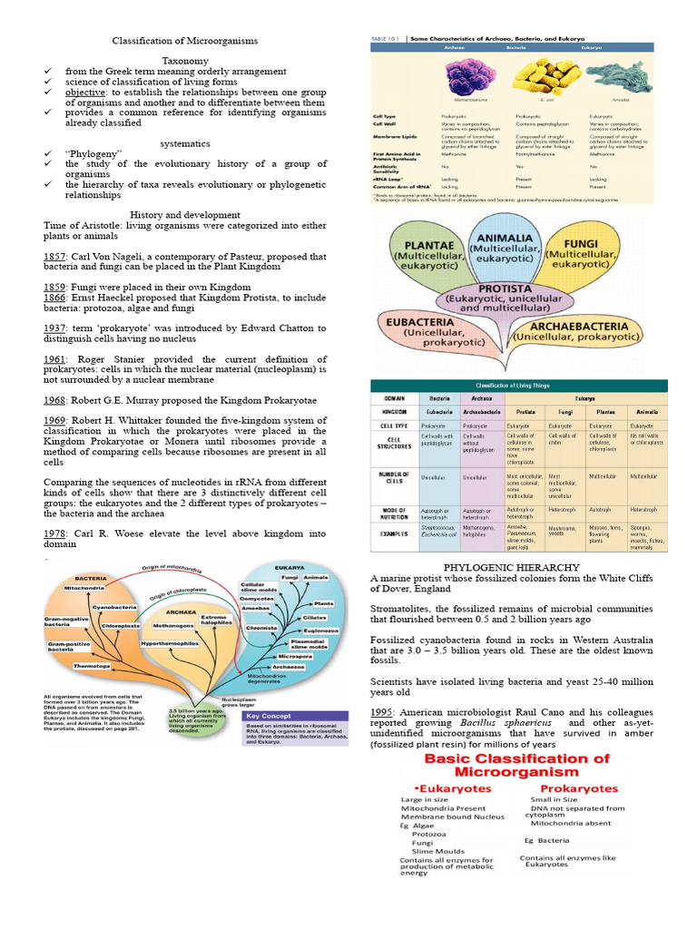 Classification of Microorganisms | Download Free PDF | Microorganism ...