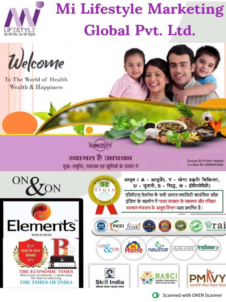 Mi Lifestyle Business Plan | PDF