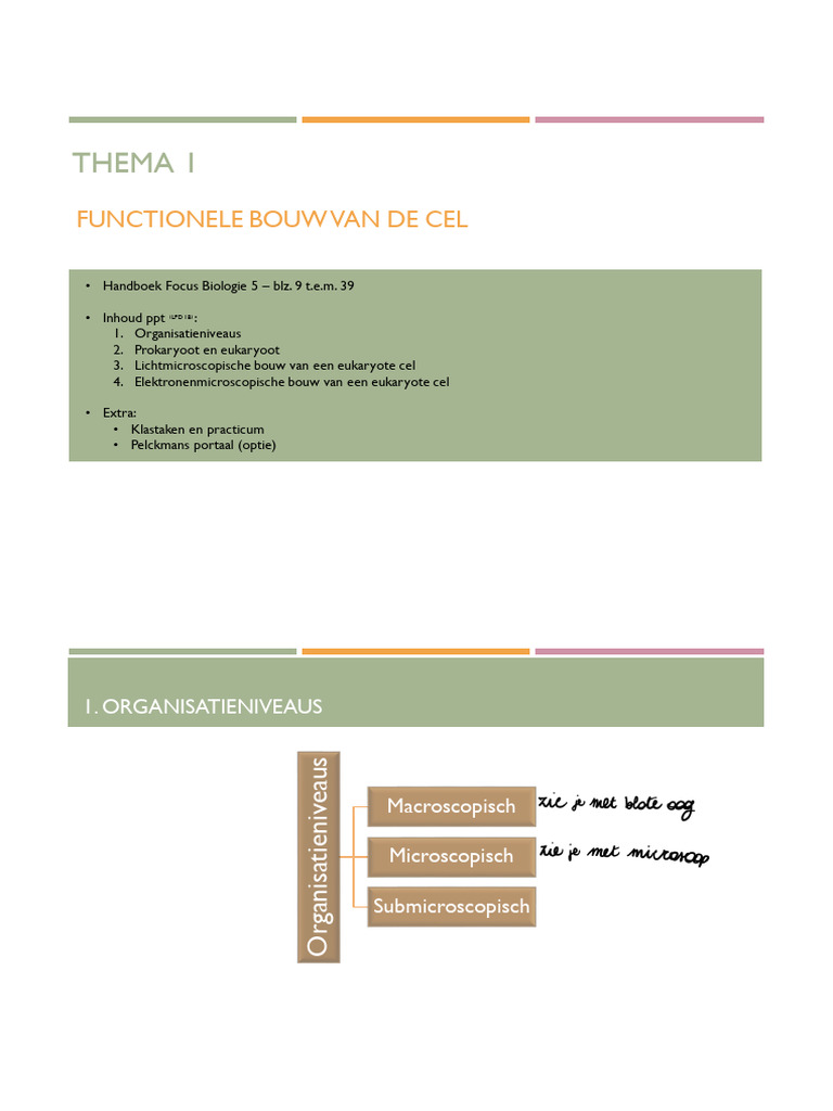 H1 Ppt Functionele Bouw Van de Cel (2023-2024) | PDF