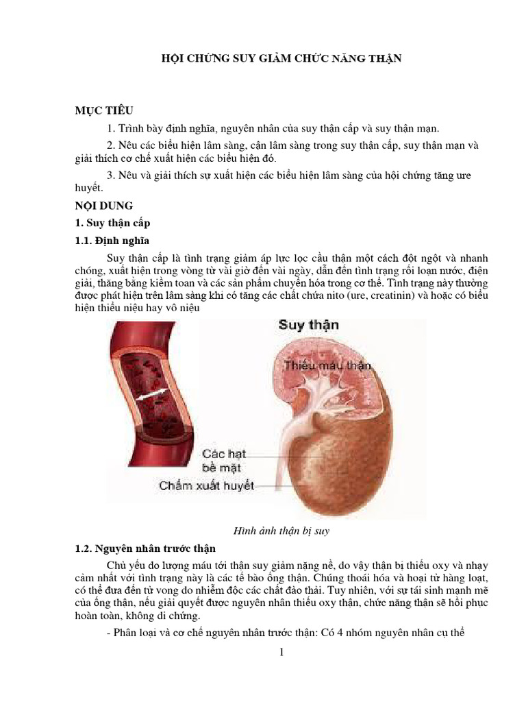Hội Chứng Suy Giảm Chức Năng Thận | PDF