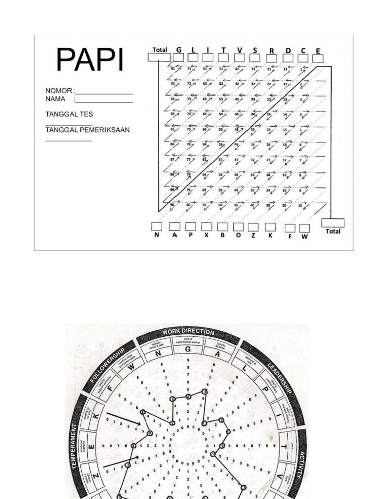 PAPI Kostik | PDF