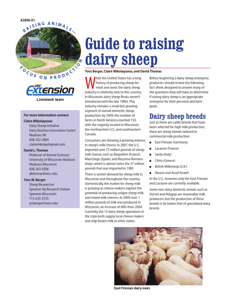 Guide To Raising Dairy Sheep | PDF | Sheep | Milk