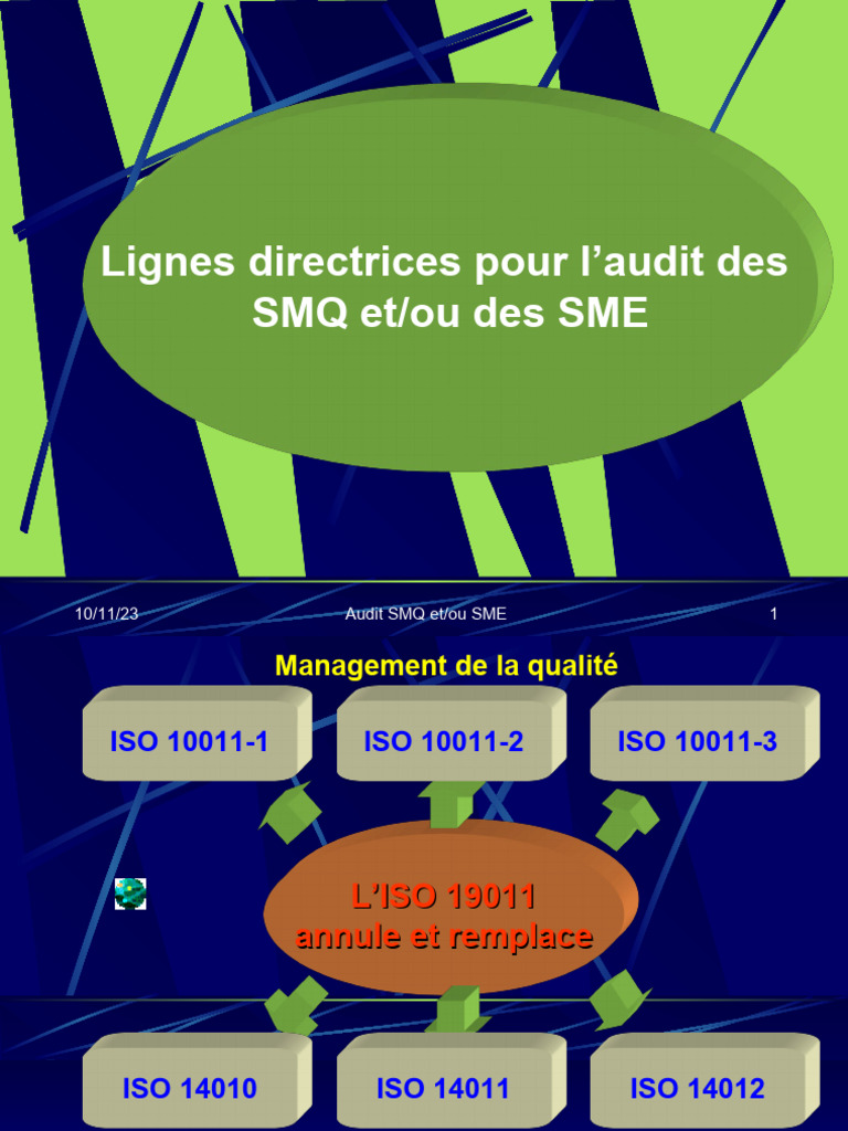 Lignes directrices pour l'audit SMQ/SME | PDF | Système de management ...
