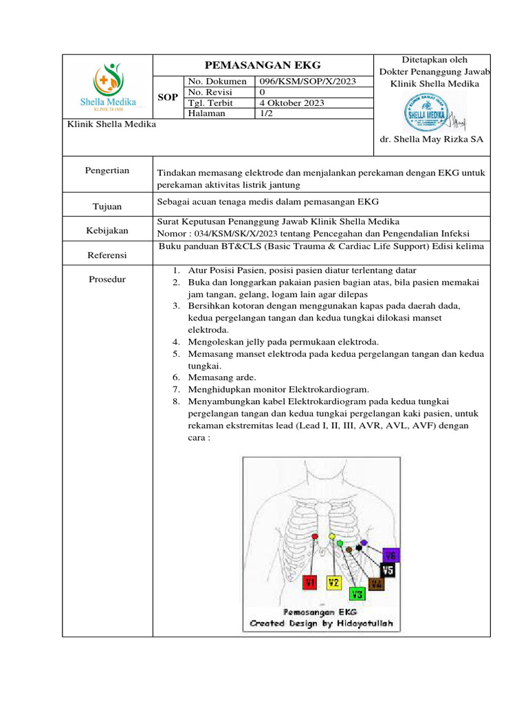 Pemasangan Ekg | PDF