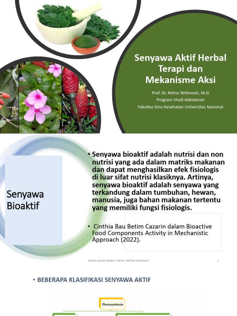 Senyawa Bioaktif Herbal Terapi Dan Mekanisme Aksi | PDF