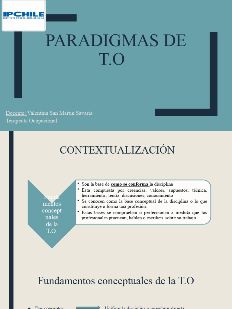 Paradigm As | PDF | Terapia ocupacional | Paradigma