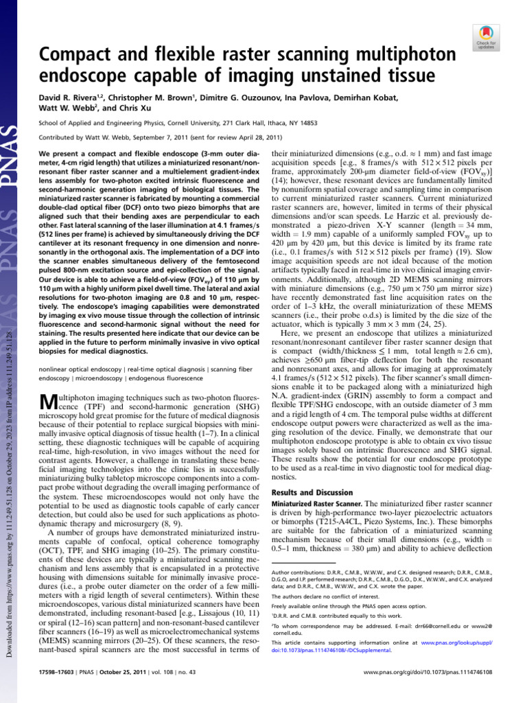 Compact and Flexible Raster Scanning Multiphoton Endoscope Capable of ...