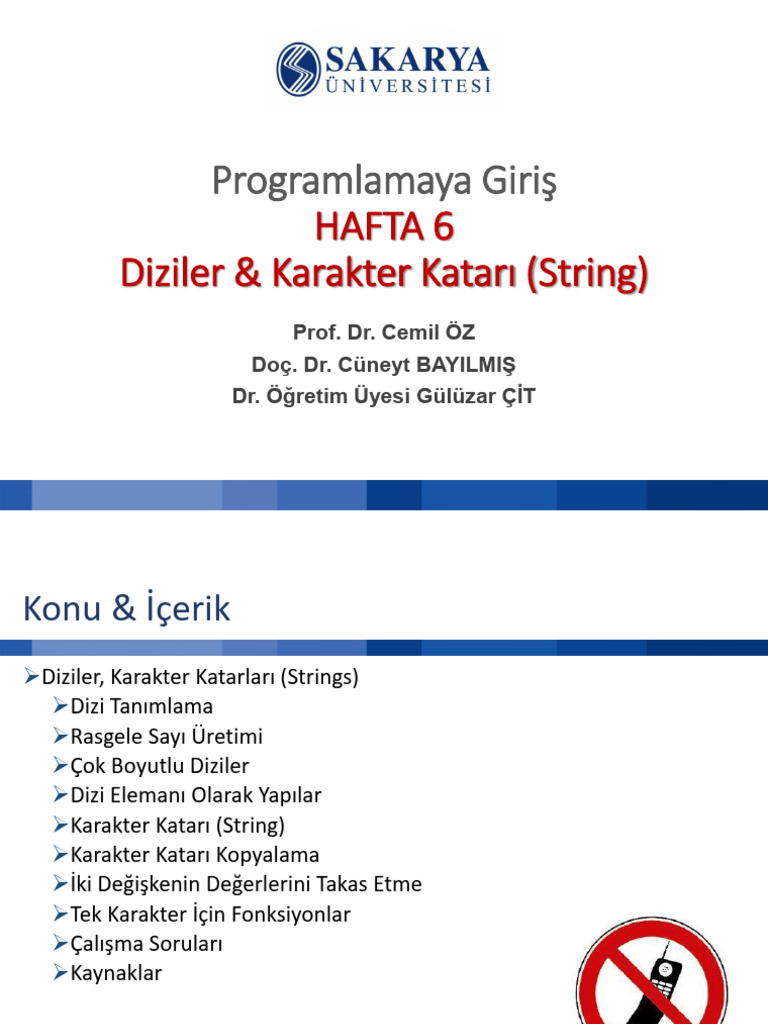 ISE105 ProgGiris H06 Diziler | PDF