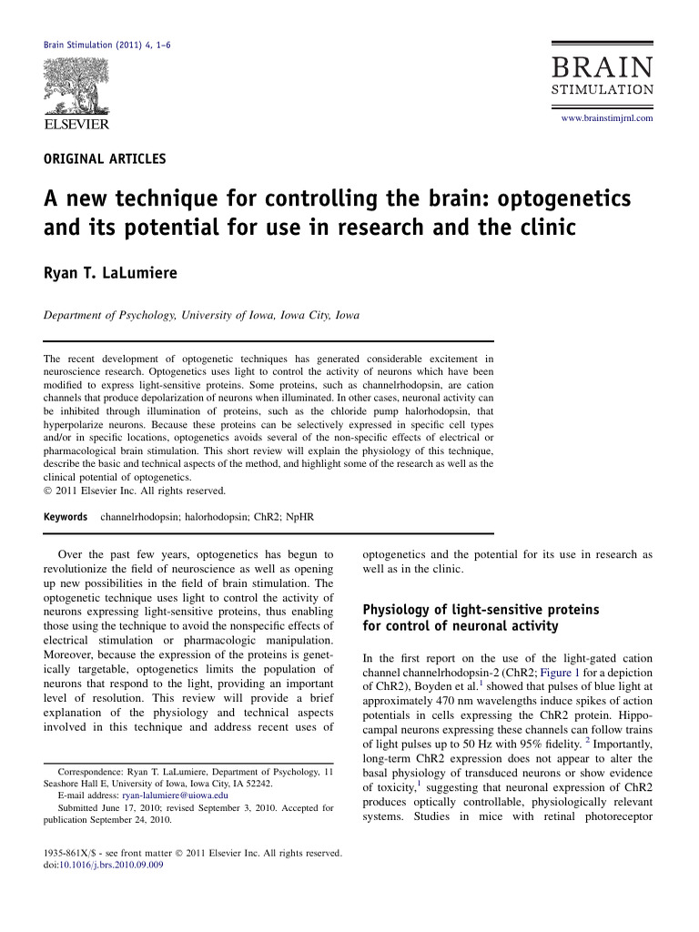 Controlling Brain | PDF | Neuroscience