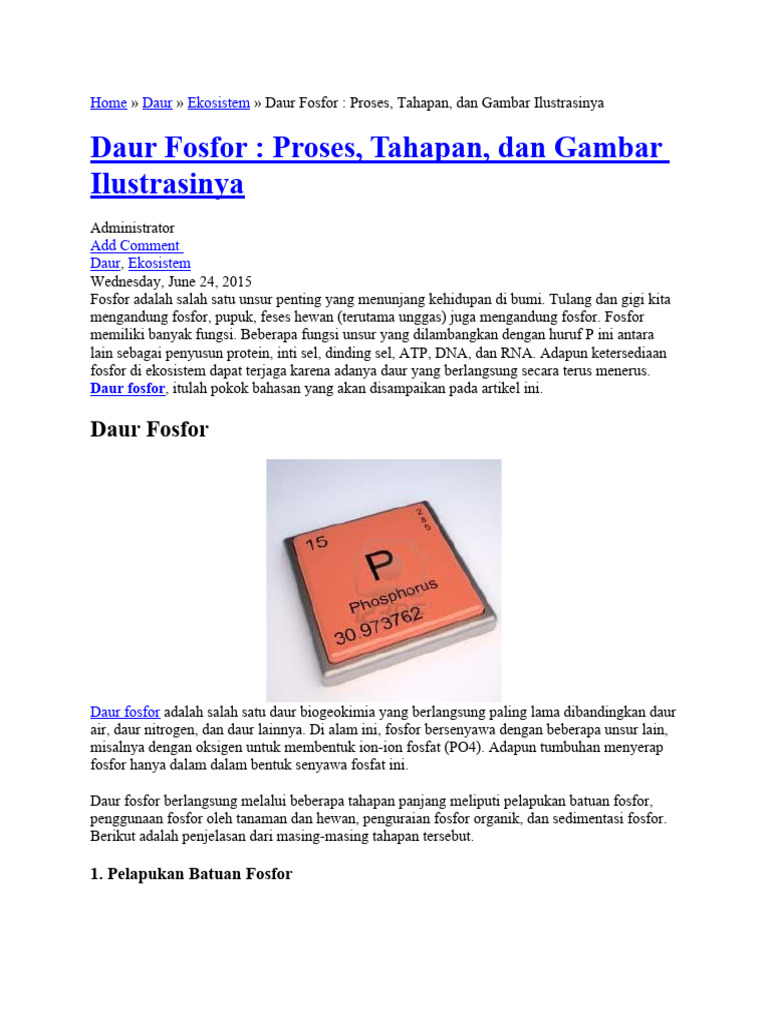 Daur Fosfor | PDF